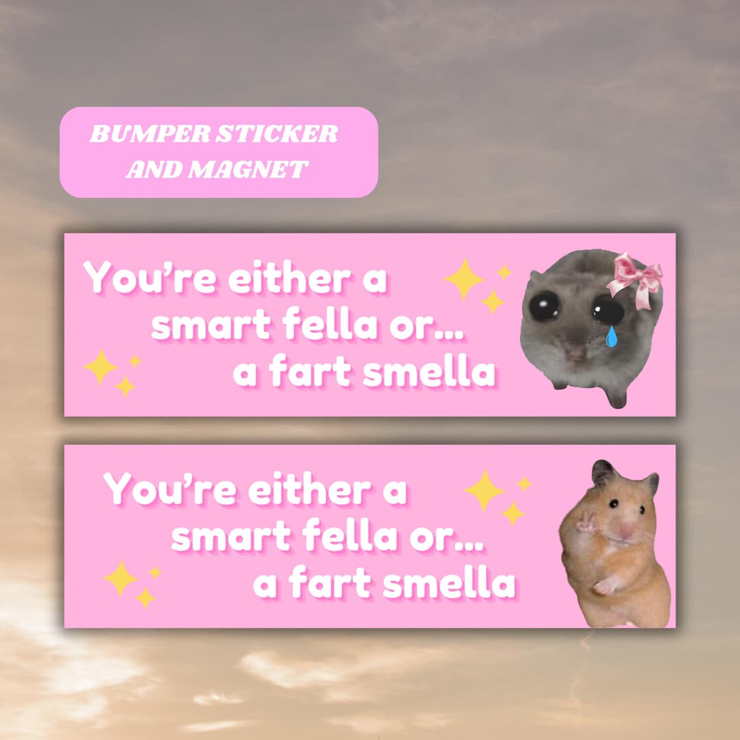 Sad Hamster Meme Funny Bumper Sticker Magnet, Genz Car Vinyl Sticker ...