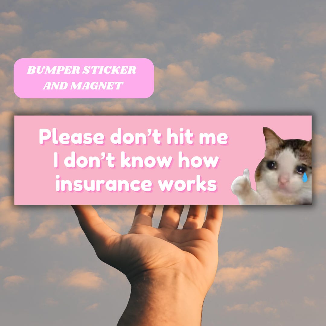 Please Don't Hit Me Bumper Sticker & Magnet Sad Kitty Cat Meme Car ...