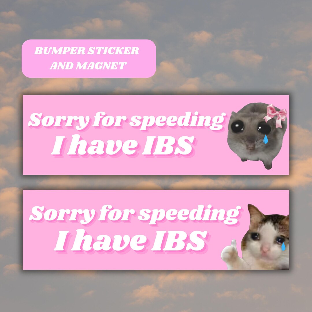 Sorry for Speeding I Have IBS Funny Bumper Sticker Magnet, Sad Cat ...