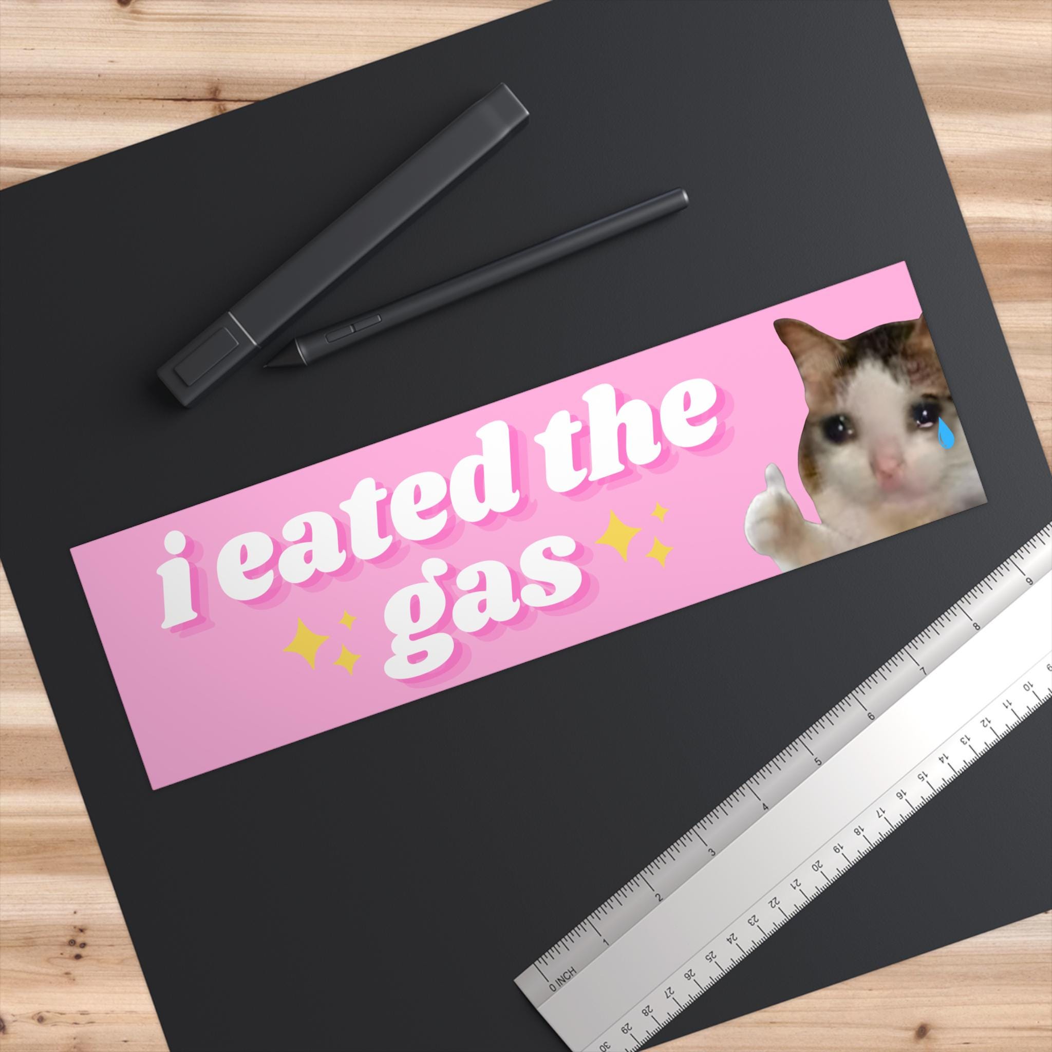 Funny Gen Z Bumper Sticker Magnet, Sad Cat Hamster Meme Tiktok Genz Car ...