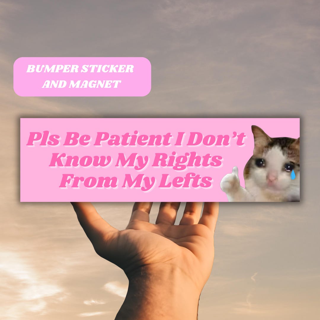 Please Be Patient Sad Cat Meme Funny Bumper Sticker Magnet, Tiktok Gen ...