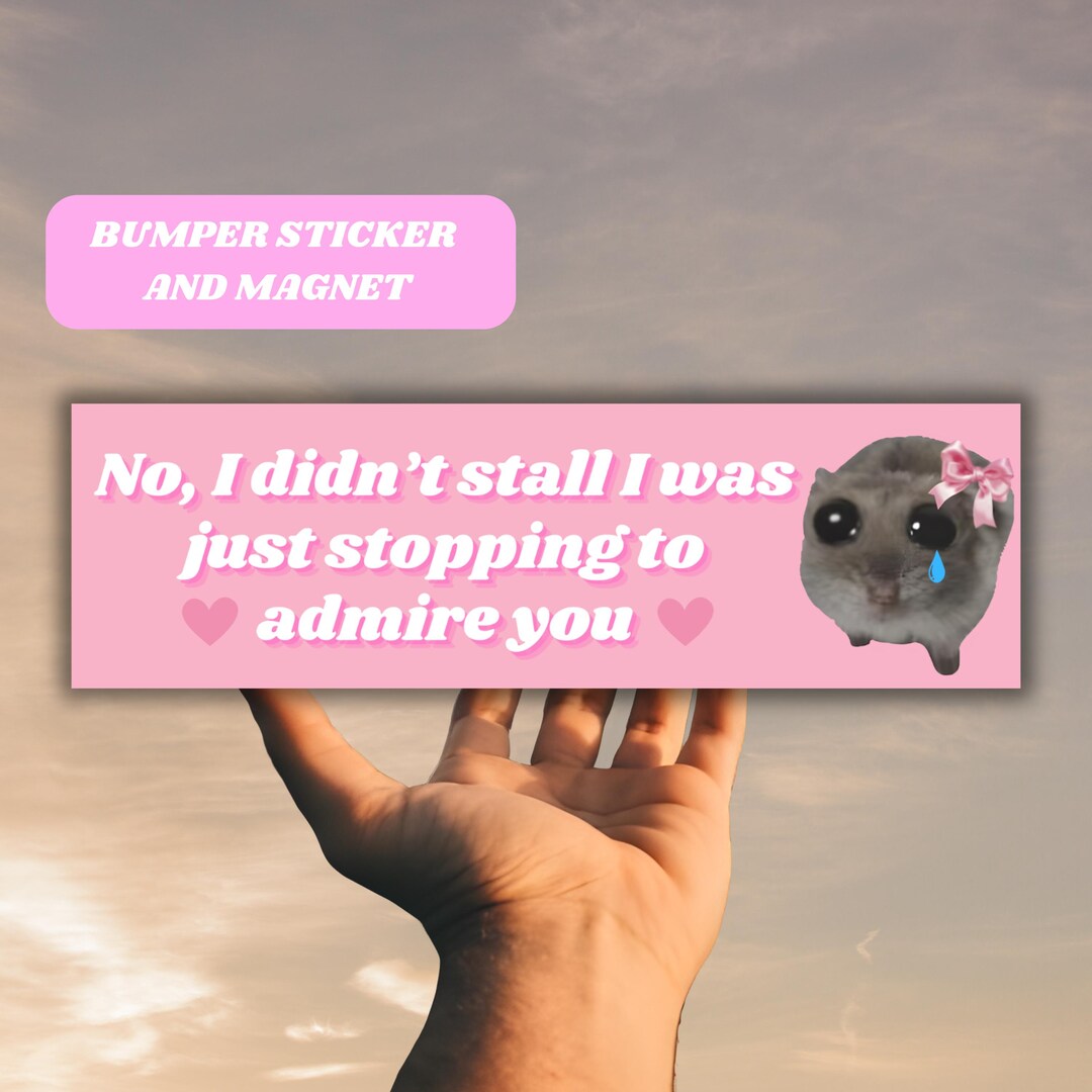 I Didn't Just Stall Stick Shift Bumper Sticker & Magnet, Funny Silly ...