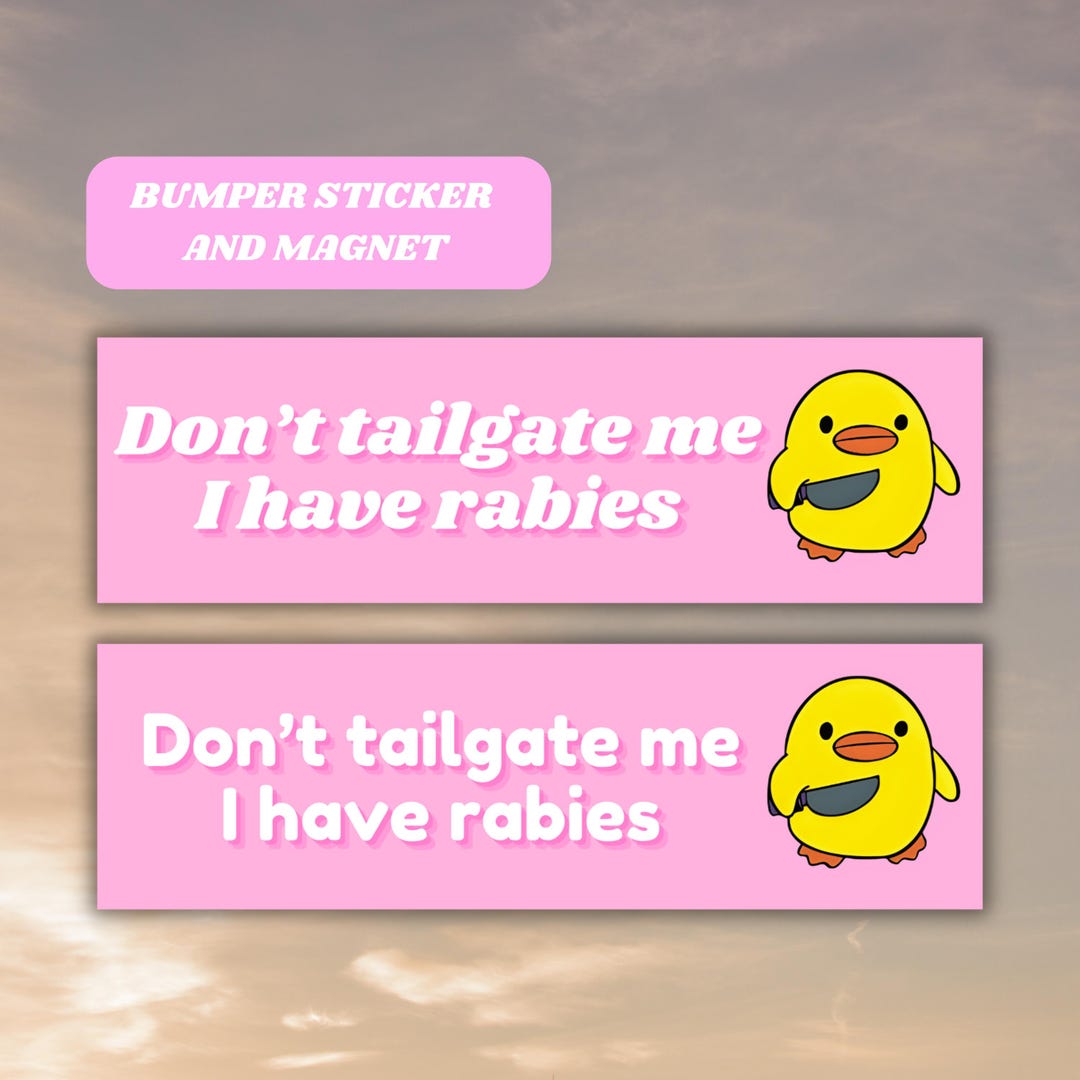 Funny Duck Meme Tailgate Bumper Sticker Magnet, Tiktok Genz Car Vinyl ...