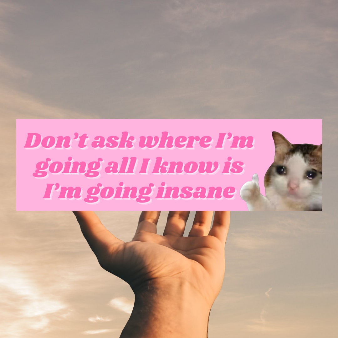 Don't Ask Where I'm Going INSANE | Car Bumper Sticker Magnet | Funny ...