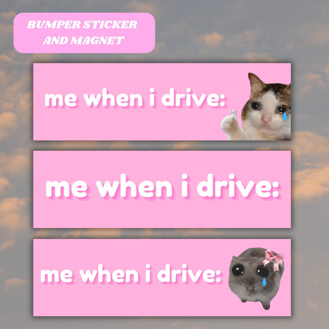 Funny Gen Z Bumper Sticker Magnet, Sad Cat Hamster Meme Tiktok Genz Car ...