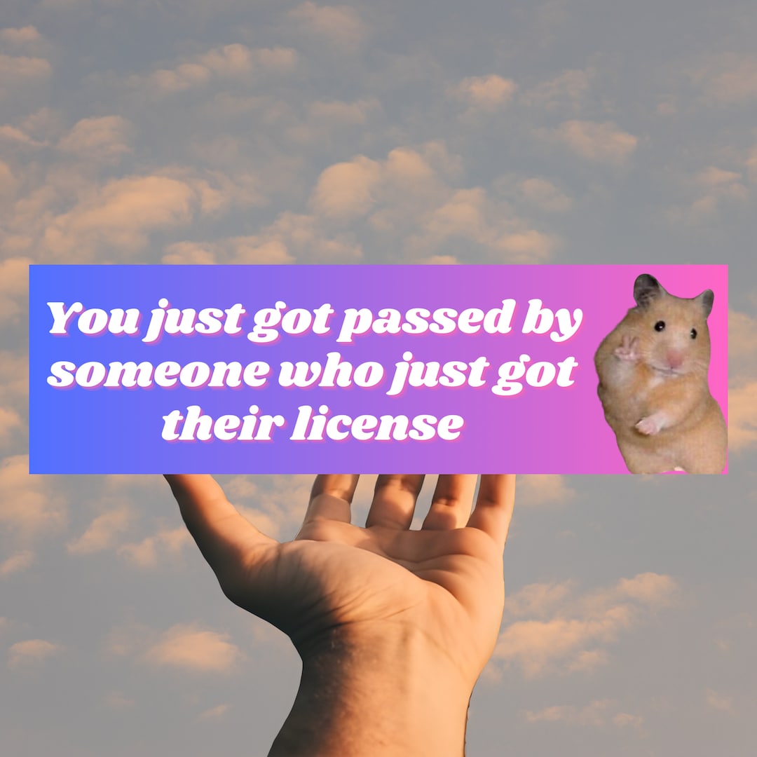 You Just Got Passed by Someone Who Just Got Their License Car Bumper ...