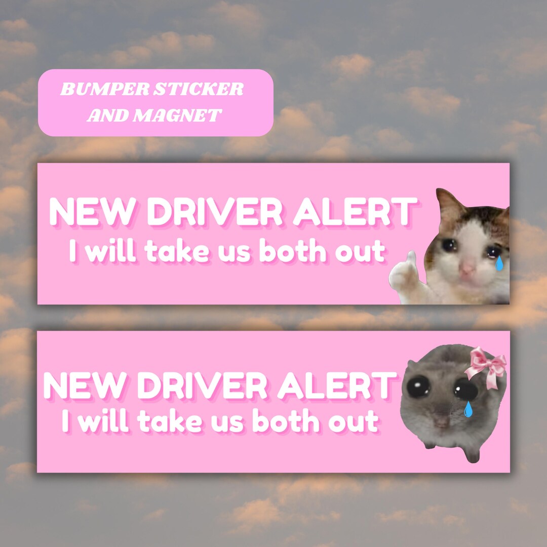 Funny New Driver Magnetic Car Bumper Sticker | Sad Cat Hamster Meme ...