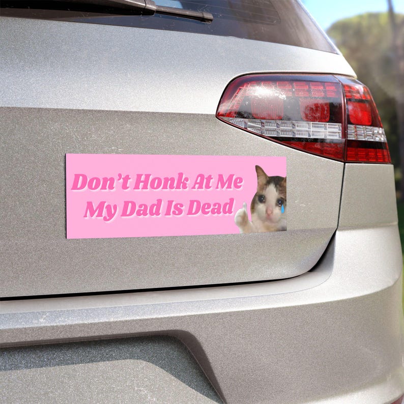 Funny Sad Cat Meme Bumper Sticker Magnet Don't Honk at Me My Dad is ...