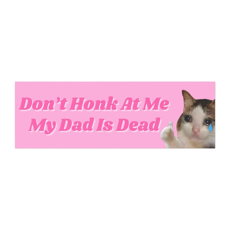 Funny Sad Cat Meme Bumper Sticker Magnet Don't Honk at Me My Dad is ...