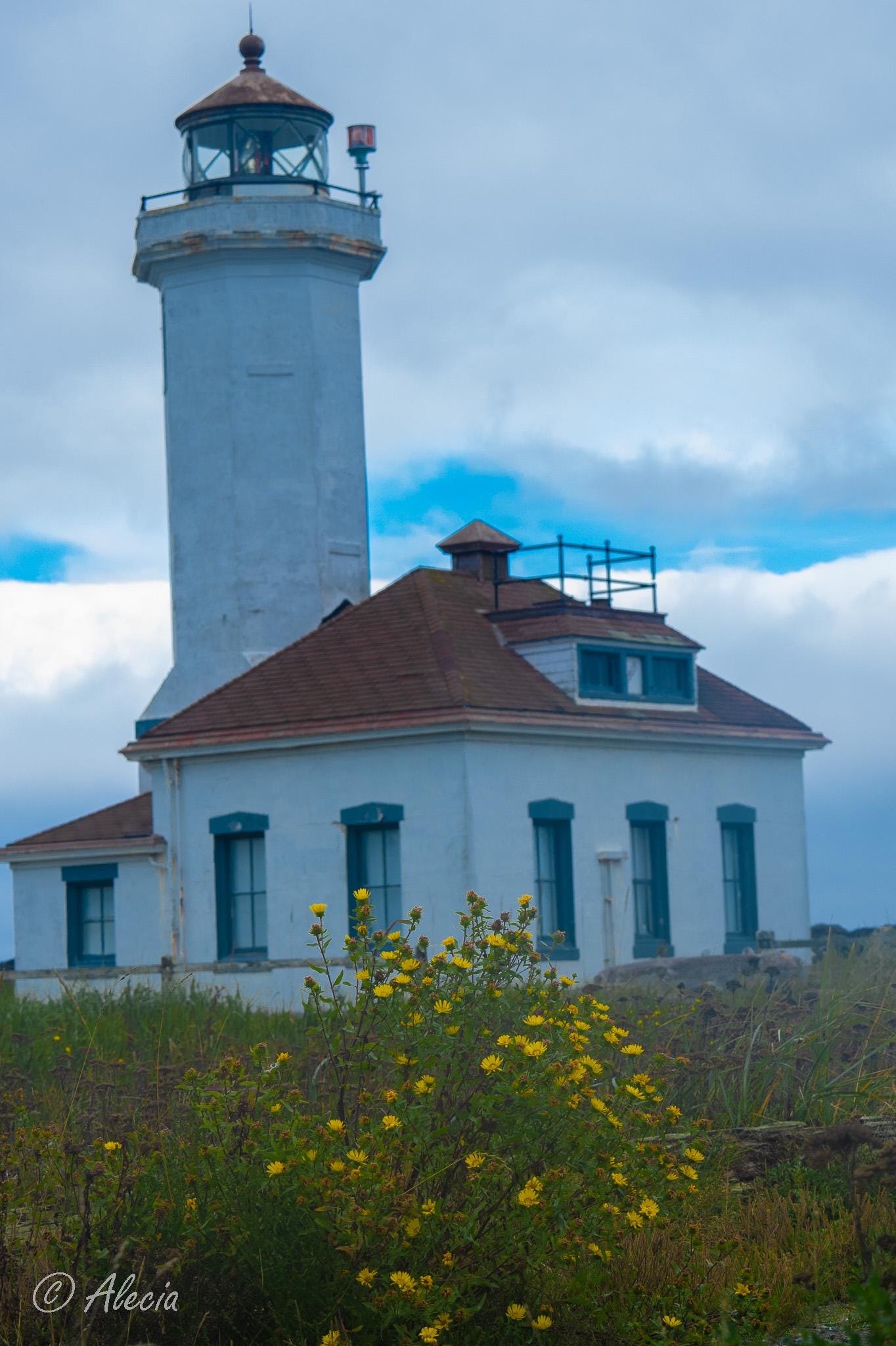 Lighthouses, a Beacon - Etsy