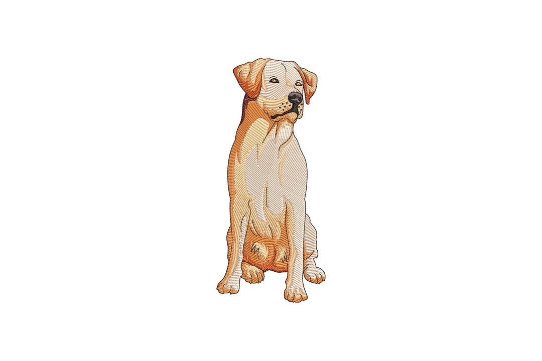 Labrador Retriever Embroidery Design, Funny Labrador Retriever Machine ...
