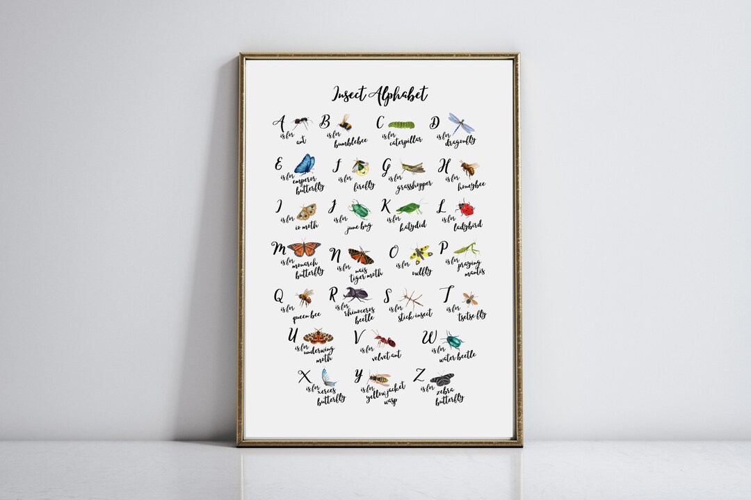 Printable Watercolor Insect Alphabet Chart Instant Download Educational ...