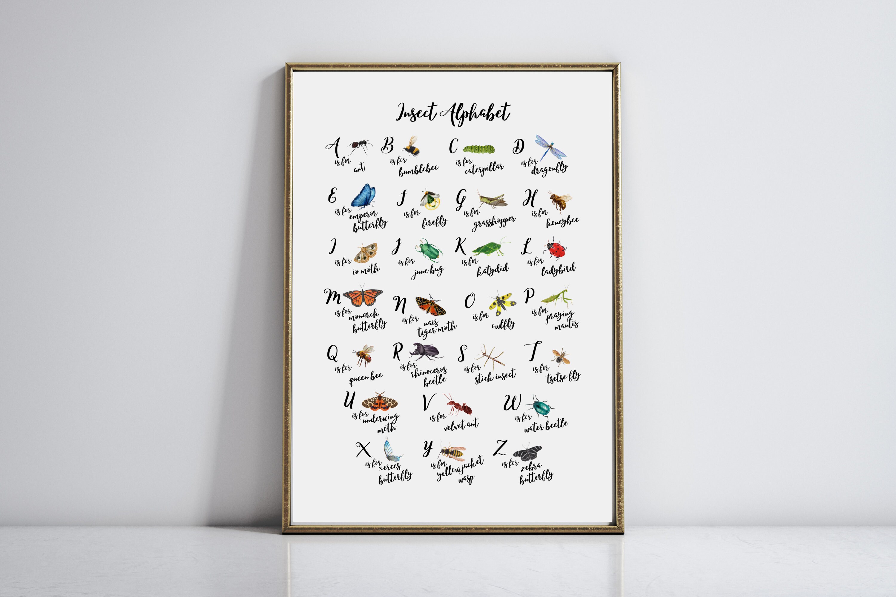 Printable Watercolor Insect Alphabet Chart Instant Download Educational ...