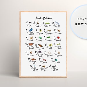 Printable Watercolor Insect Alphabet Chart Instant Download Educational ...