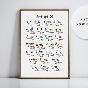 Printable Watercolor Insect Alphabet Chart Instant Download Educational ...