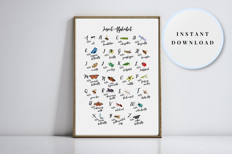 Printable Watercolor Insect Alphabet Chart Instant Download Educational ...