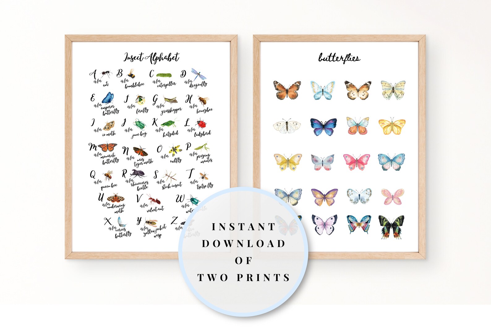 Watercolor Insect Alphabet Chart for Nursery Printable Educational ...