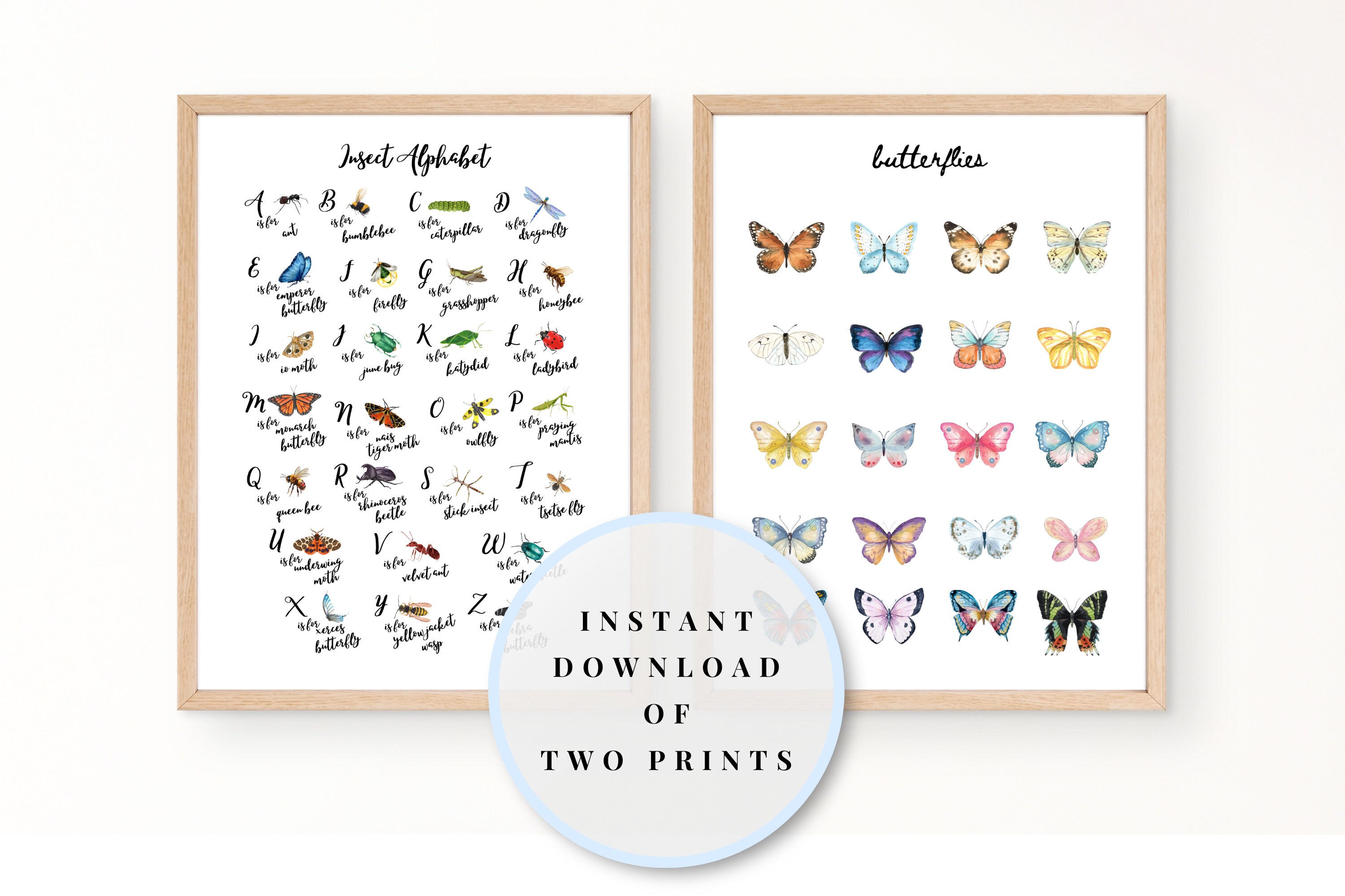 Watercolor Insect Alphabet Chart for Nursery Printable Educational ...
