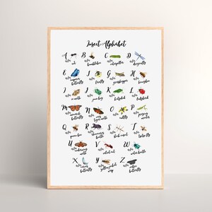 Printable Watercolor Insect Alphabet Chart Instant Download Educational ...