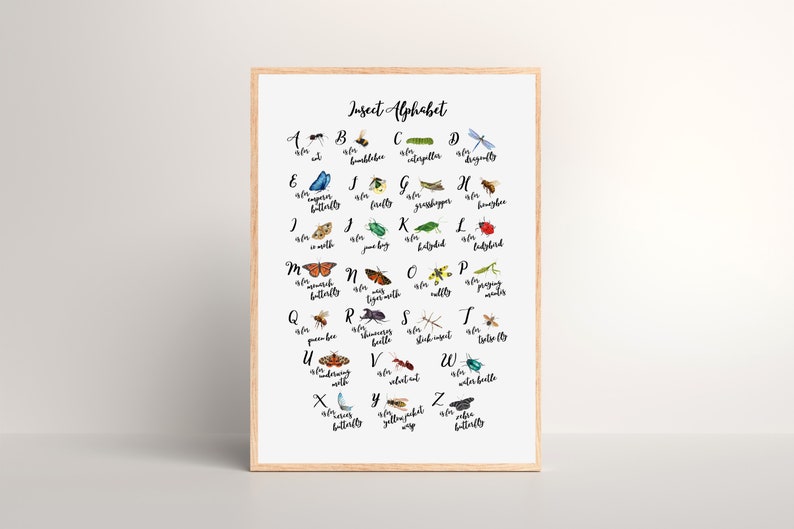 Printable Watercolor Insect Alphabet Chart Instant Download Educational ...