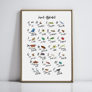 Watercolor Insect Alphabet Chart for Nursery Printable Educational ...