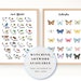 Printable Watercolor Insect Alphabet Chart Instant Download Educational ...