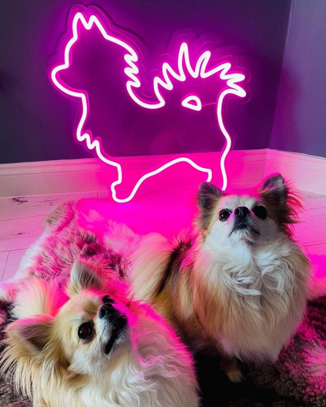 Custom Pet Neon Sign: LED Wall Decor, Pet Memorial Gift - Etsy