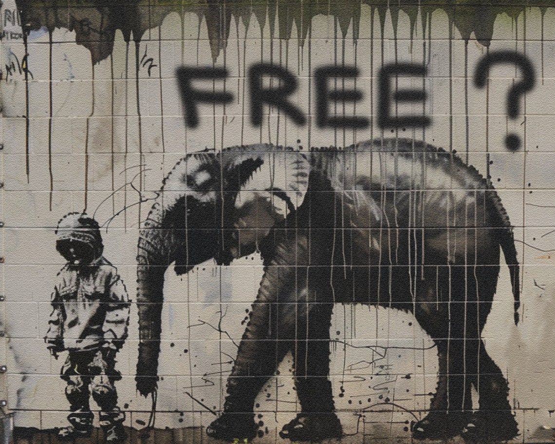 Banksy Street Graffiti Art Boy Frees Zoo Elephant Animal Rights ...