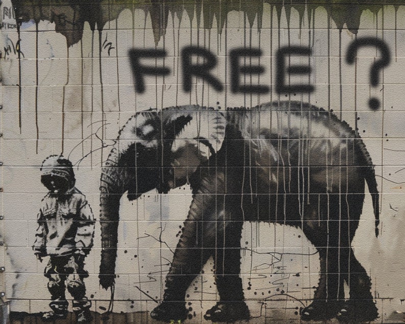 Banksy Street Graffiti Art Boy Frees Zoo Elephant Animal Rights ...