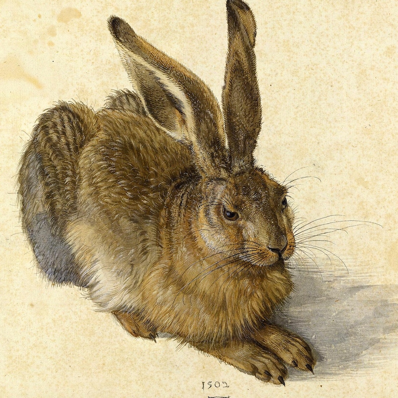 Rabbit Painting Fine Art - Etsy