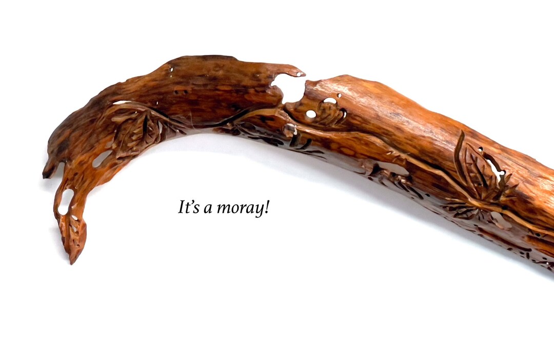It's a Moray- Abstract Wood Sculpture - Etsy