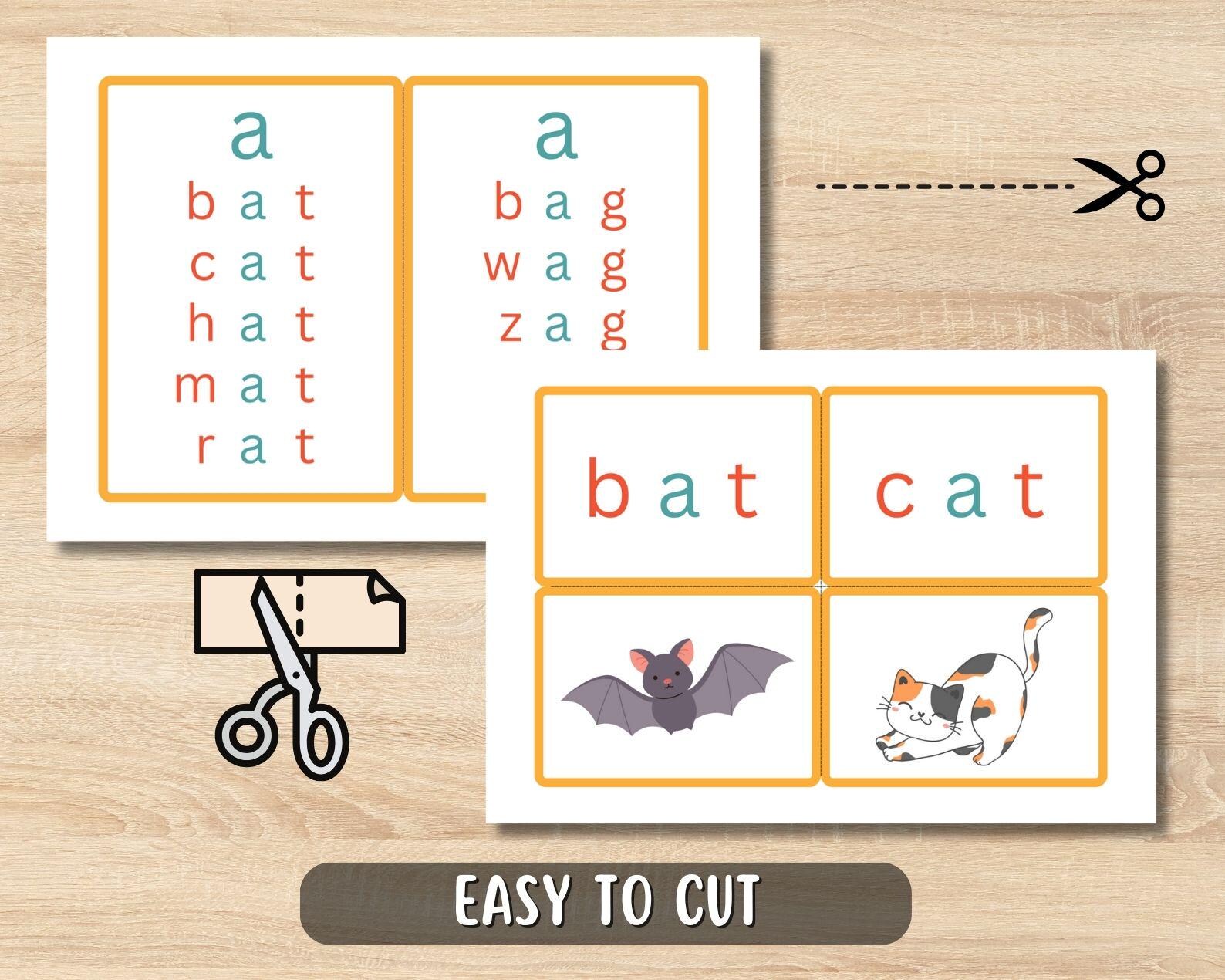 Learn to Read CVC Words | CVC Words Matching Activity | Match Pictures ...
