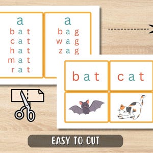 Learn to Read CVC Words | CVC Words Matching Activity | Match Pictures ...