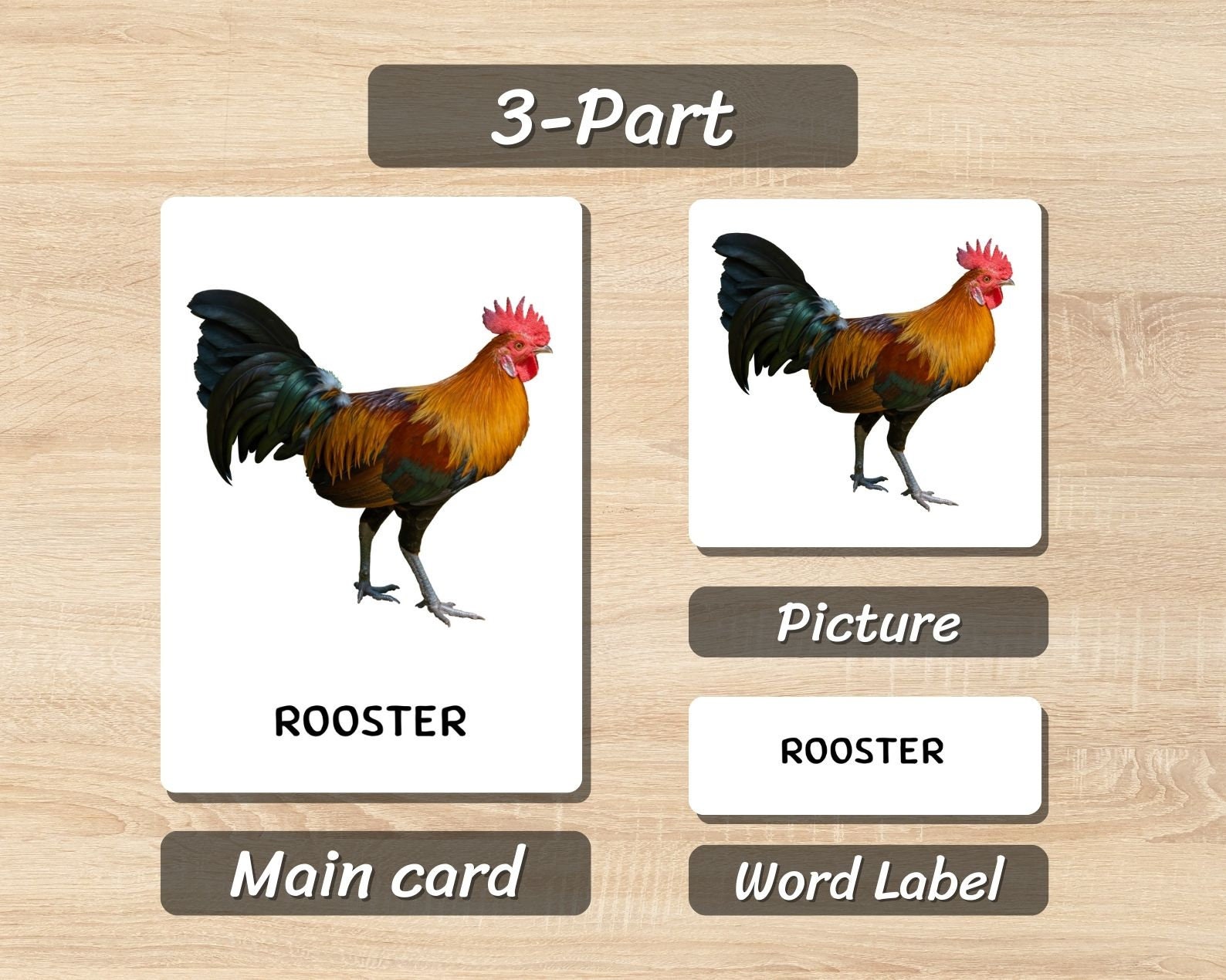 Flashcards for Kids, FARM ANIMALS (real Pictures), Farm Animals Cards ...