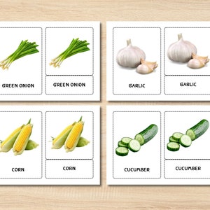 Flashcards for Kids, Vegetables (real Pictures), Vegetables Cards ...