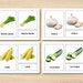 Flashcards for Kids, Vegetables real Pictures, Vegetables Cards ...