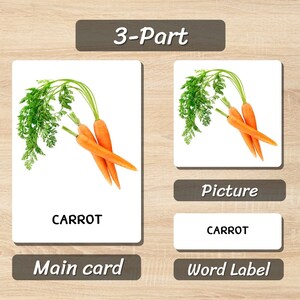 Flashcards for Kids, Vegetables (real Pictures), Vegetables Cards ...