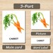 Flashcards for Kids, Vegetables (real Pictures), Vegetables Cards ...
