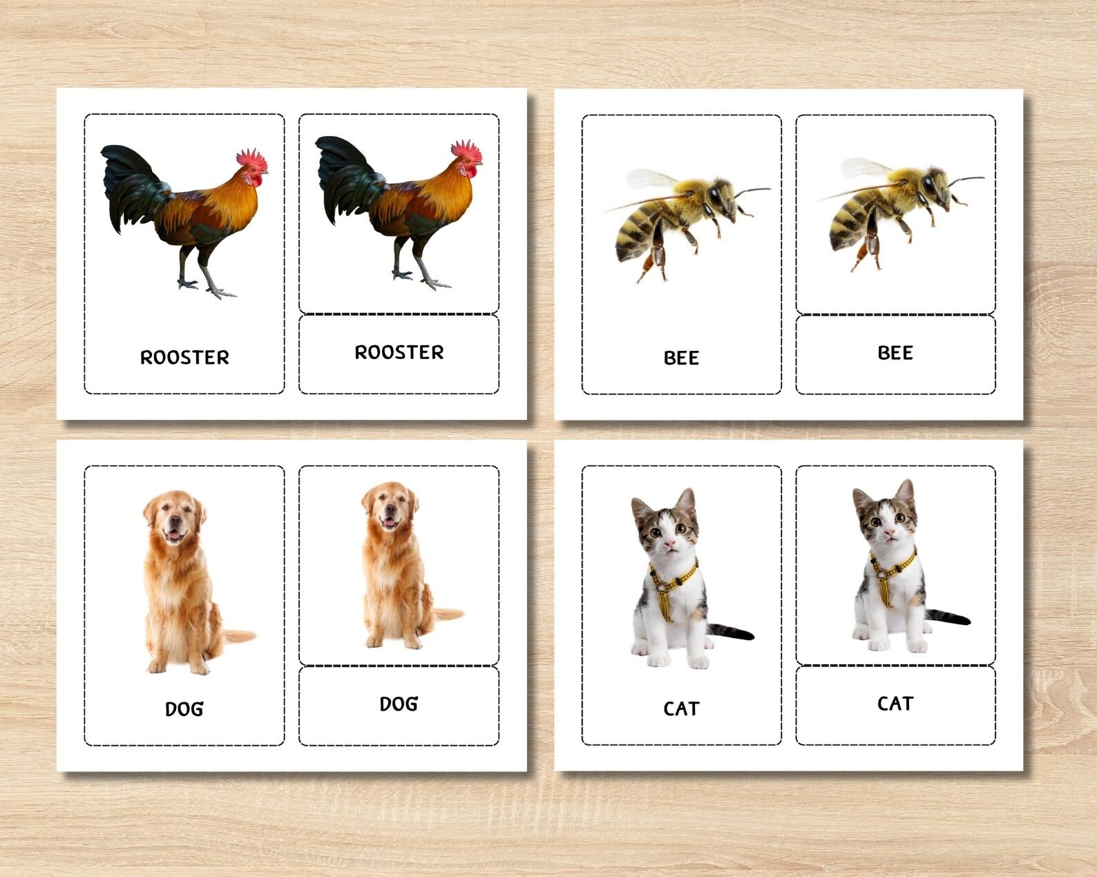 Flashcards for Kids, FARM ANIMALS (real Pictures), Farm Animals Cards ...