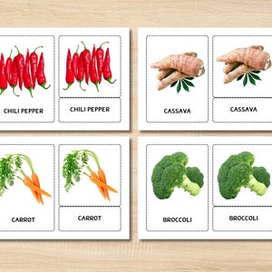 Flashcards for Kids, Vegetables (real Pictures), Vegetables Cards ...