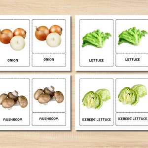 Flashcards for Kids, Vegetables (real Pictures), Vegetables Cards ...