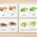 Flashcards for Kids, Vegetables real Pictures, Vegetables Cards ...