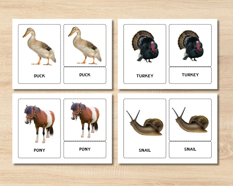 Flashcards for Kids, FARM ANIMALS (real Pictures), Farm Animals Cards ...