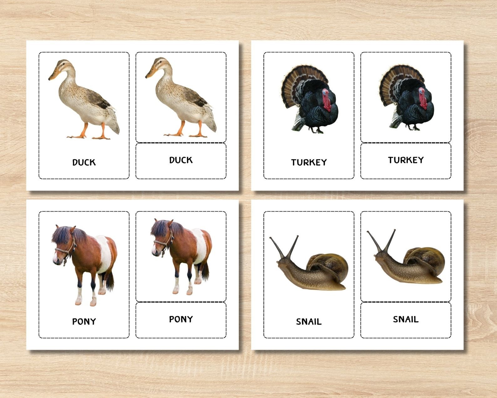 Flashcards for Kids, FARM ANIMALS (real Pictures), Farm Animals Cards ...