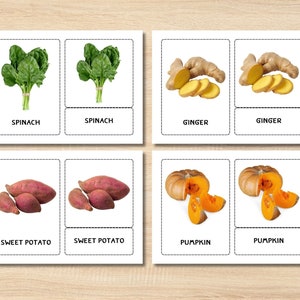 Flashcards for Kids, Vegetables (real Pictures), Vegetables Cards ...