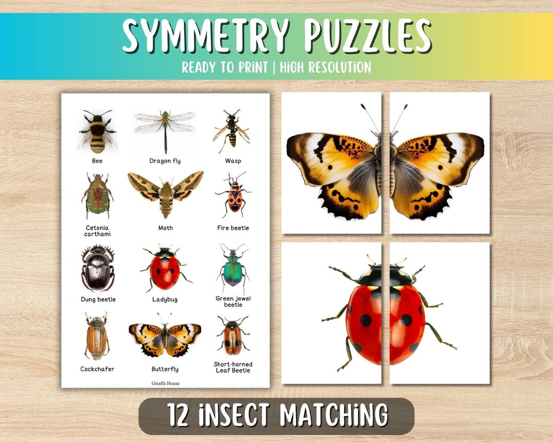 Insect Symmetry Puzzles & Matching Activity, Insect Cards, Fun and ...