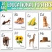 Alphabet Poster for Classroom Wall, Large Format for Classroom Use ...