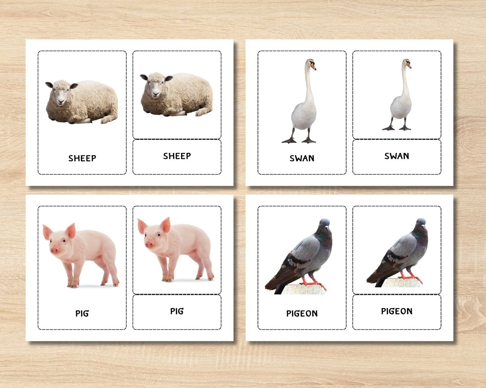 Flashcards for Kids, FARM ANIMALS (real Pictures), Farm Animals Cards ...