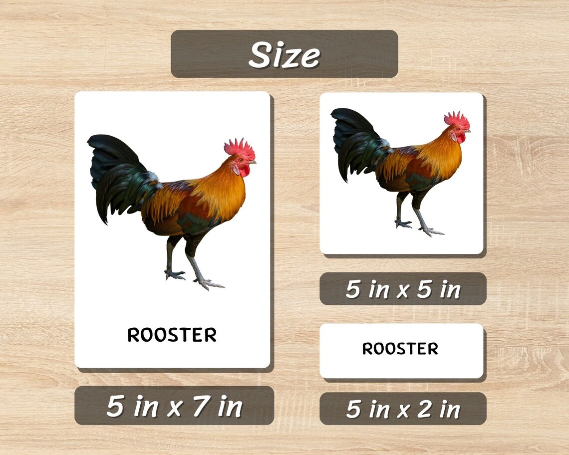 Flashcards for Kids, FARM ANIMALS real Pictures, Farm Animals Cards ...