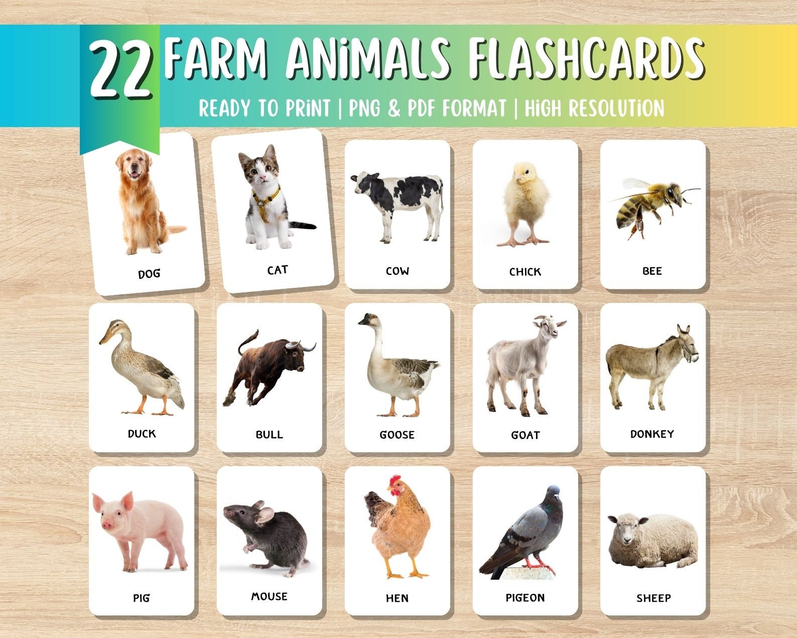 Flashcards for Kids, FARM ANIMALS real Pictures, Farm Animals Cards ...